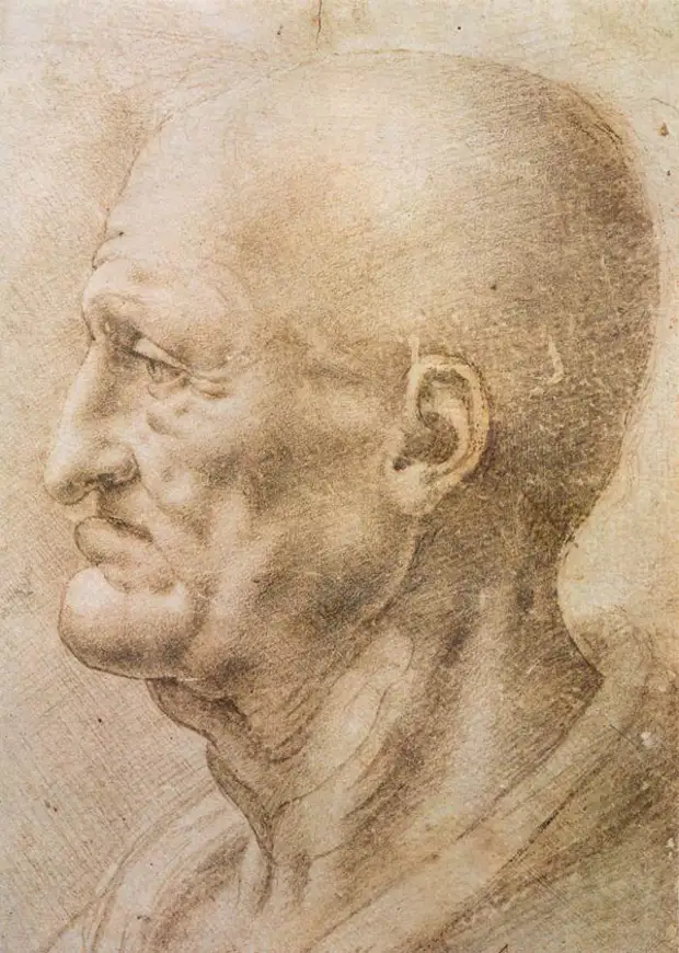 Leonardo da Vinci rajza