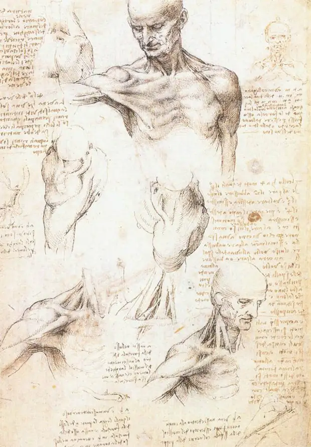 Leonardo da Vinci. Nhân kỷ niệm 560 năm.