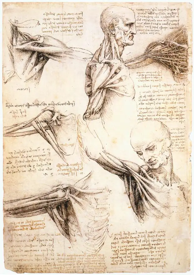 Leonardo da Vinci. Nhân kỷ niệm 560 năm.