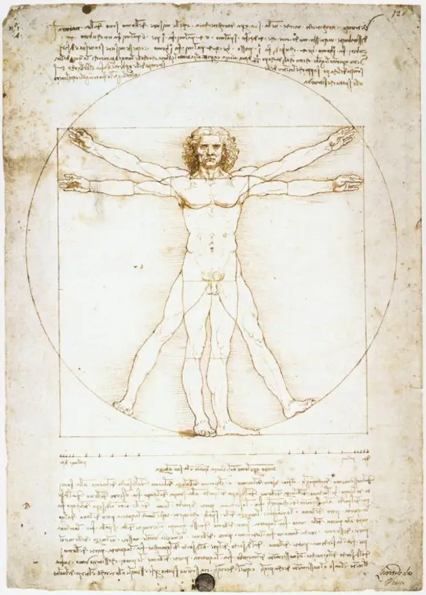 Vitruvian Man của Leonardo da Vinci