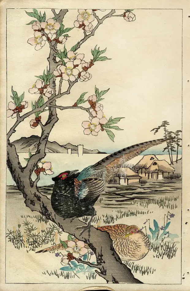 Japannese afdrukke uit die 1880's