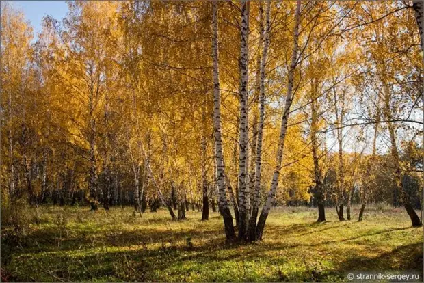 Ռուսաստանի հնագույն լանդշաֆտները