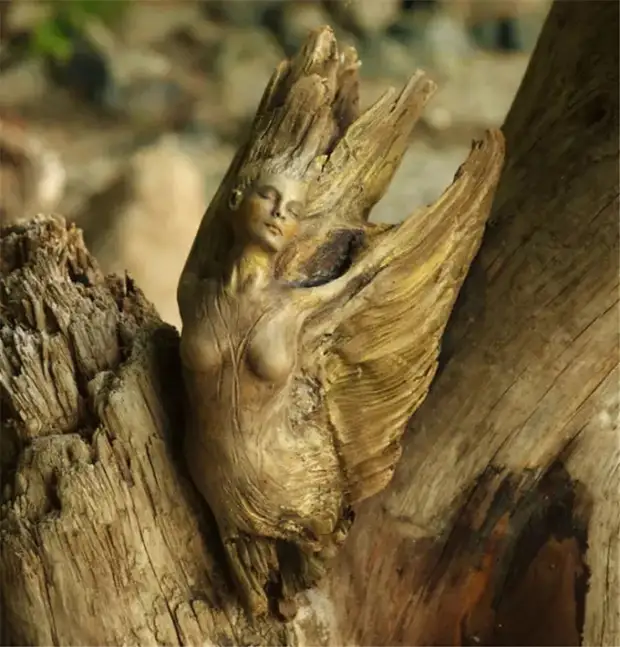 Ang mga buhi nga eskultura nga gihimo gikan sa yano nga driftwood