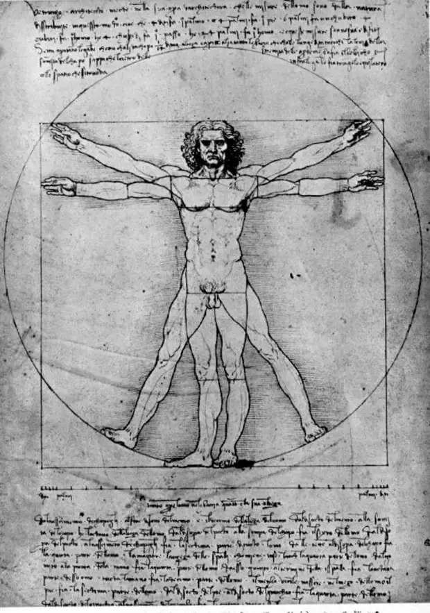 Udjeli ljudskog lika (vitruvijski čovjek) - Leonardo da Vinci (1492.)