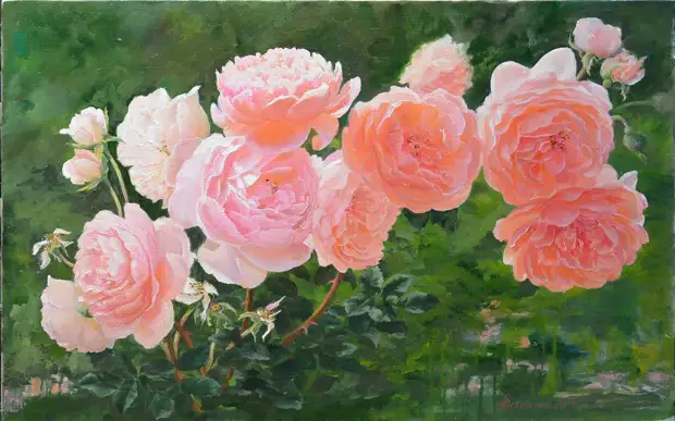 Na -arị Roses