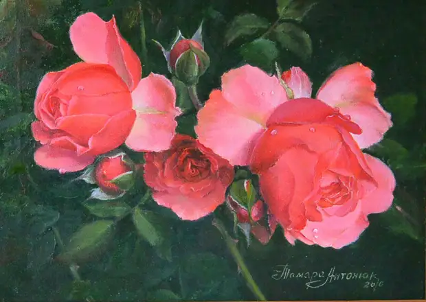 Roses ụtụtụ