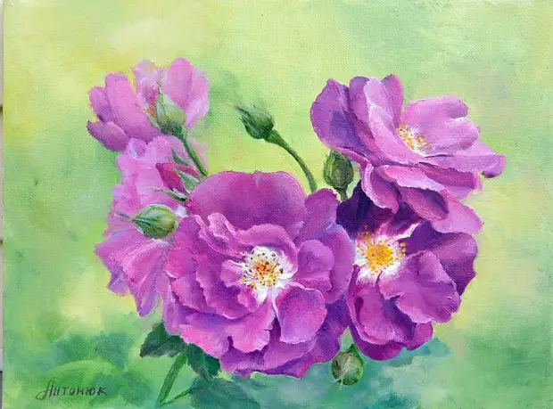 Lilac roses