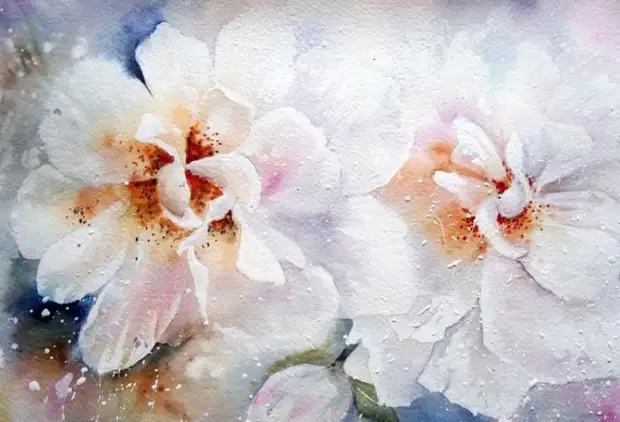 Artiste Yvonne Harry. Aquarelles