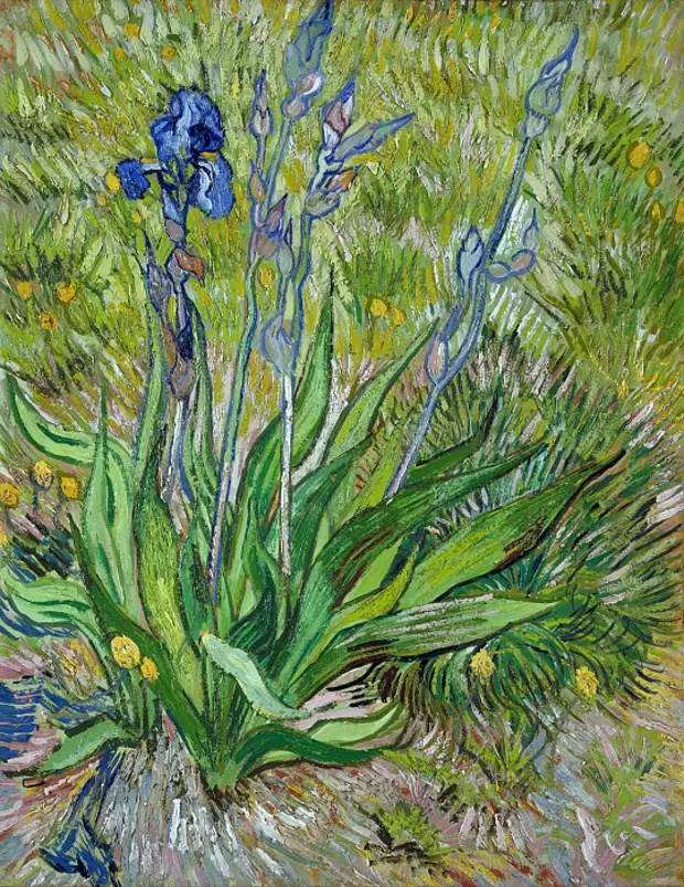 Van Gogh blommor