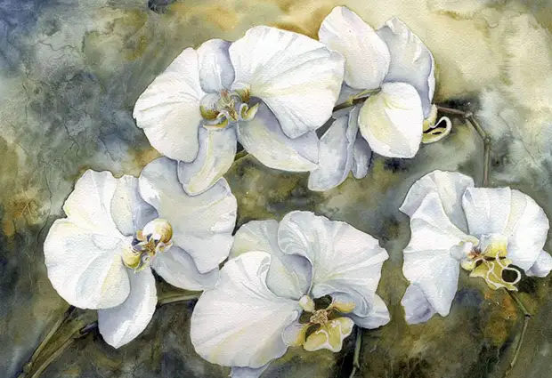 Flowers are bashful, as your charms are languid ... British artist Yvonne Harry