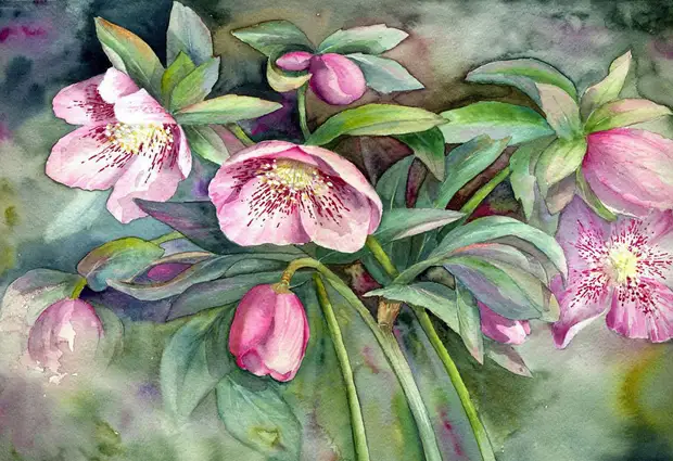 Flowers are bashful as your charms are languid ... British artist Yvonne Harry