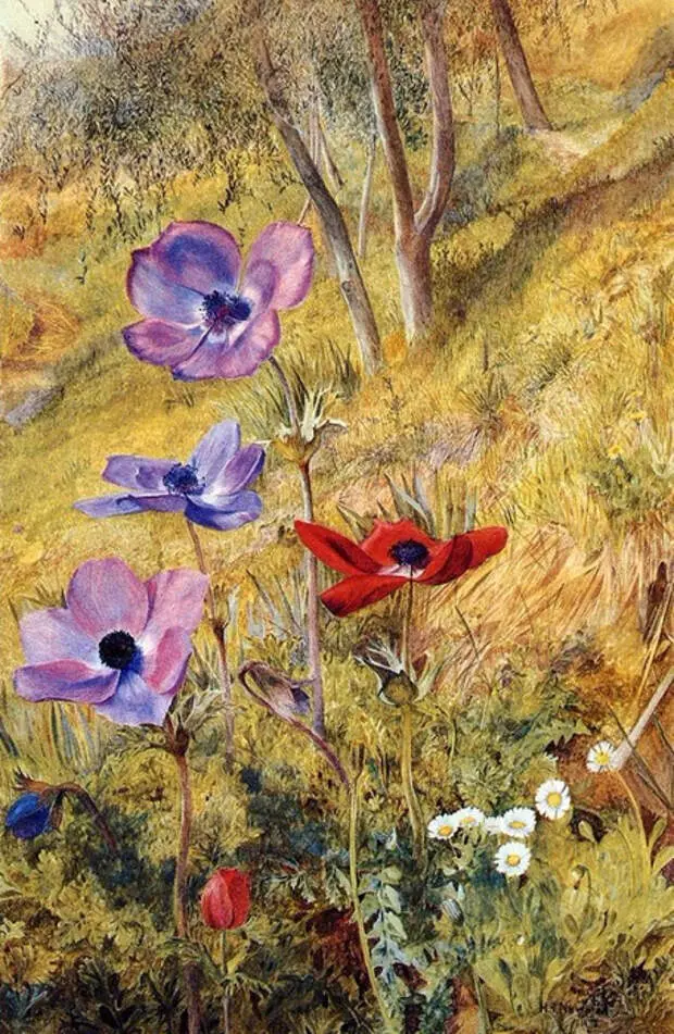 Fleurs silencieuses - seigneurs de l'espace ... Artiste Henry Roderick Newman