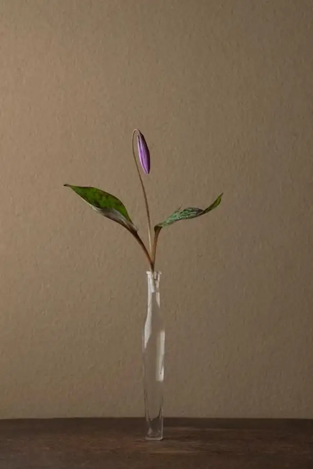 Ikebana Majstro Toshiro Kawase