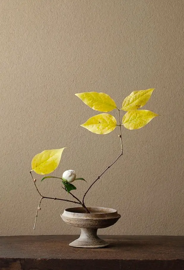 Ikebana Majstro Toshiro Kawase