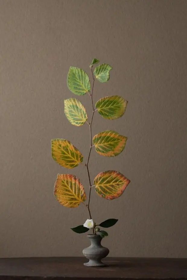 Ikebana Majstro Toshiro Kawase