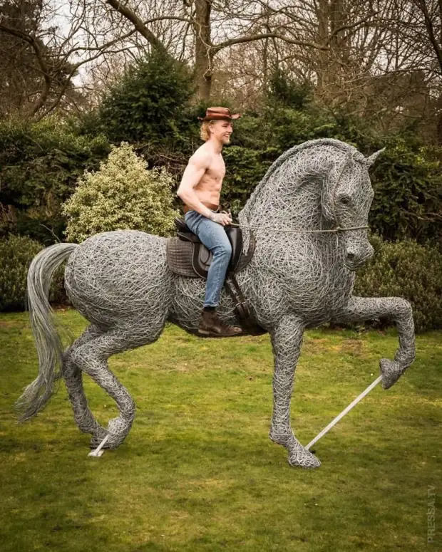 Increíbles esculturas de animales de alambre galvanizado