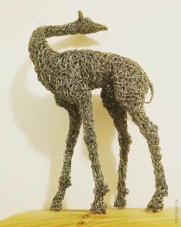 Incredible galvanized wire animal sculptures