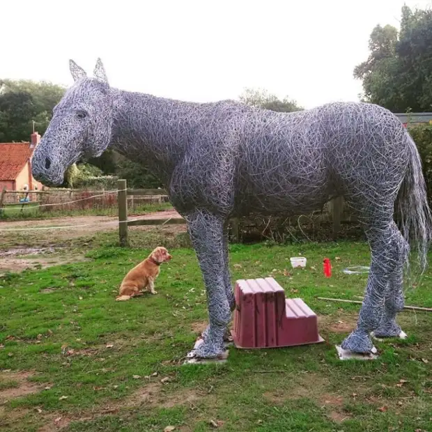 Increíbles esculturas de animales de alambre galvanizado