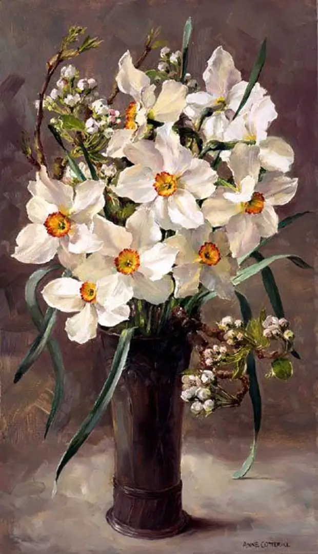 Cvetlične zgodbe Anne Cotterill (Britanka, 1933–2010)