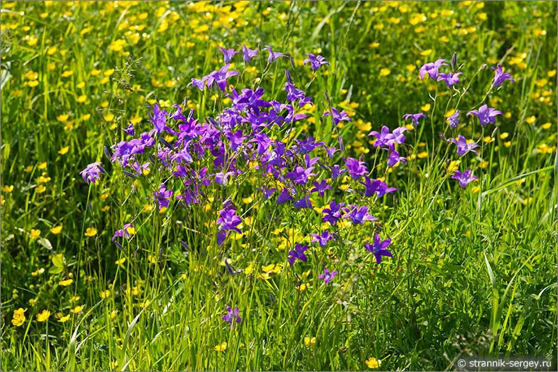 Bezienswaardigheden fan Russyske natuer