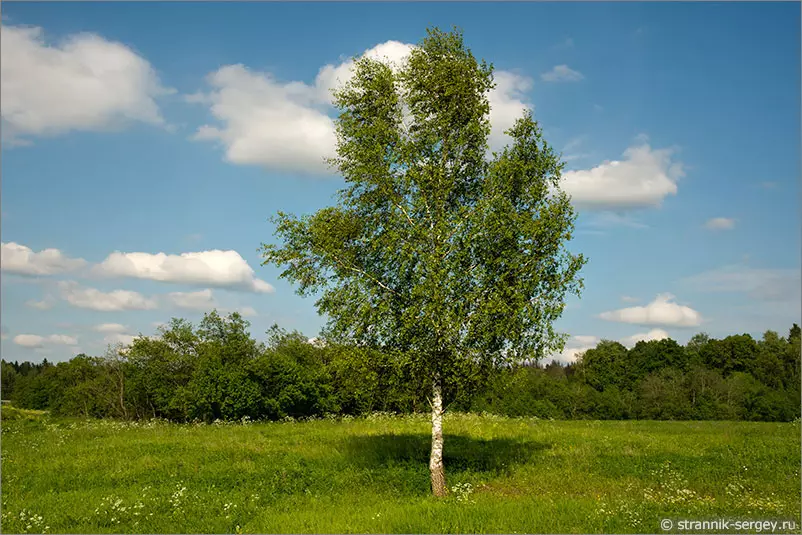 Bezienswaardigheden fan Russyske natuer