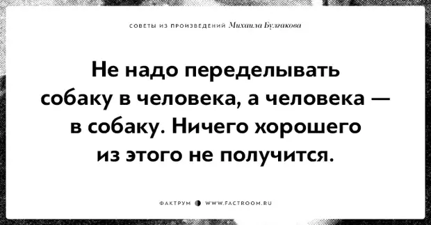 10 чудових рад з творів Михайла Булгакова