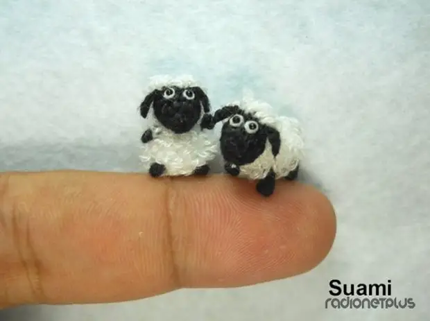 Tiny Knitted Figures e Suami