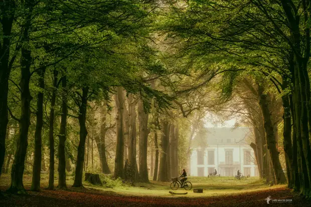 Lansekap alas dening fotografer Walanda Lars van de Goor