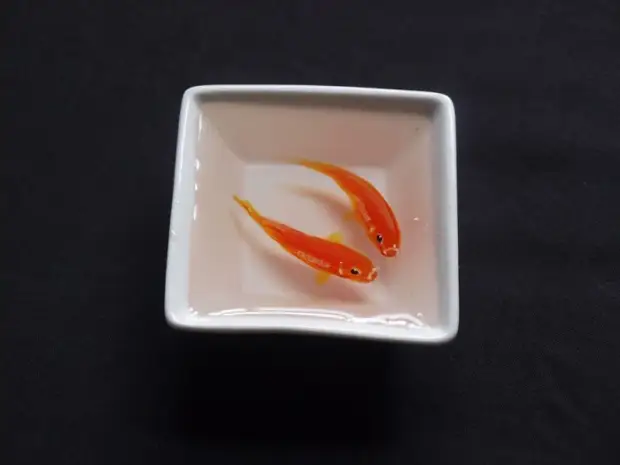 Two goldfish. Stunning 3D art by Japanese artist Riusuke Fukahori.