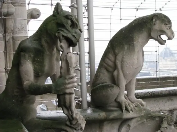 Chimeras of Notre Dame Cathedral.