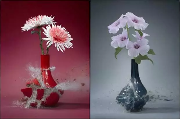 Freeze the moment: 20 stunning shots of picturesque flower vases flying to smithereens
