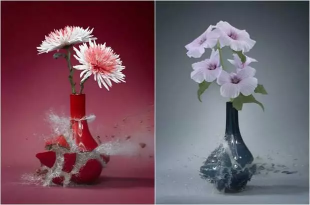 Figez le moment : 20 photos époustouflantes de vases à fleurs pittoresques volant en mille morceaux