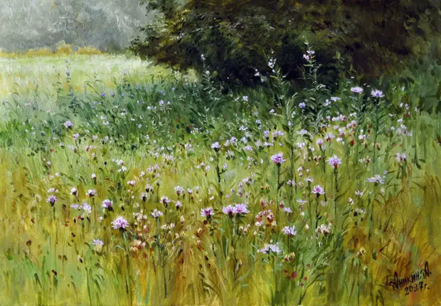 Zèb Meadow ... Atis Alexey Anikin.