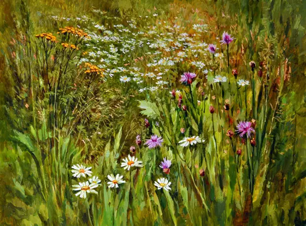 Zèb Meadow ... Atis Alexey Anikin.