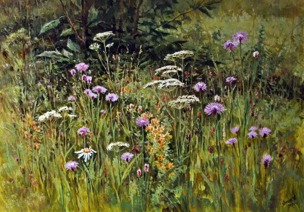 Meadow grasses ... آرٽسٽ Alexey Anikin.