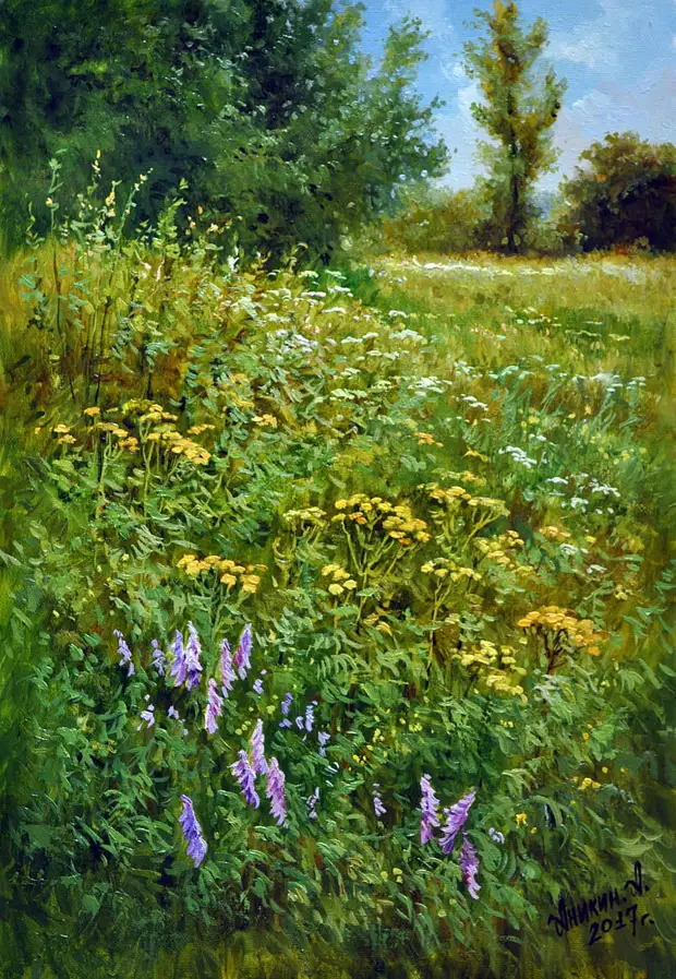 Meadow grasses ... آرٽسٽ Alexey Anikin.