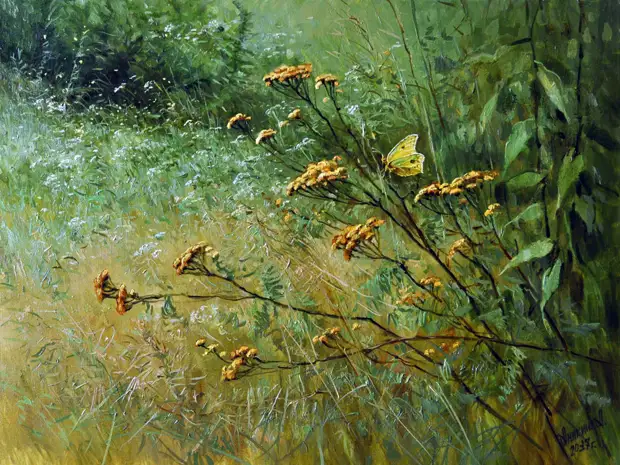 Meadow grasses ... آرٽسٽ Alexey Anikin.