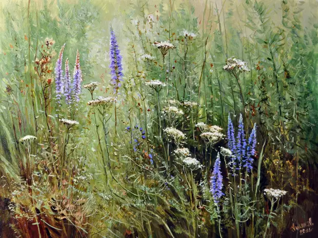 Zèb Meadow ... Atis Alexey Anikin.