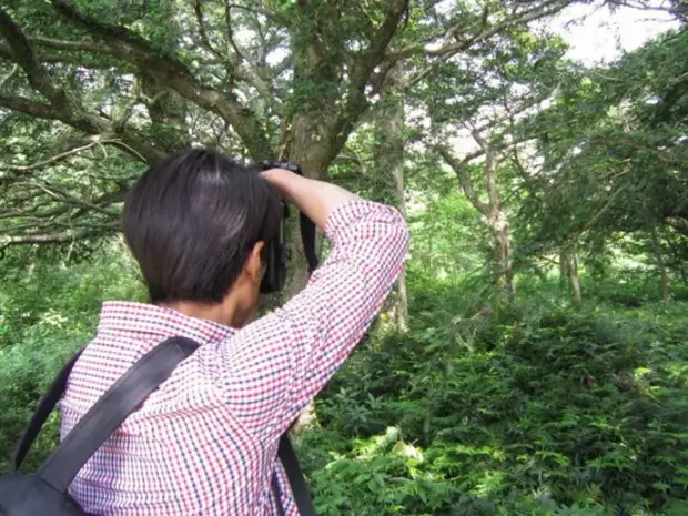 Si te parece que solo está fotografiando el bosque, ¡tus ojos te están engañando!