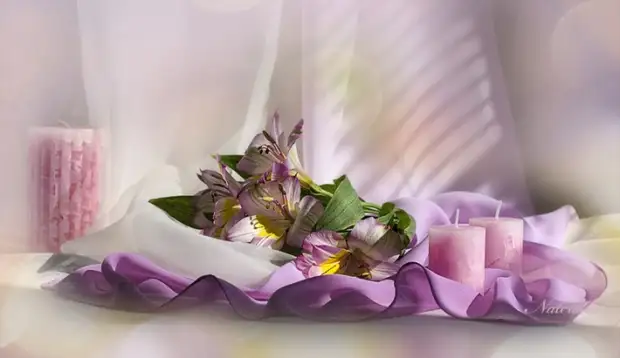 Flores en fotografías de Natalia Kuznetsova (Nateletro)