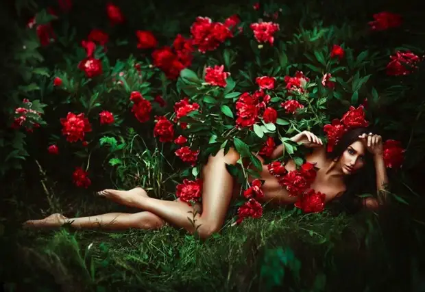 Fabulous photographs by Svetlana Belyaeva (44 photos)