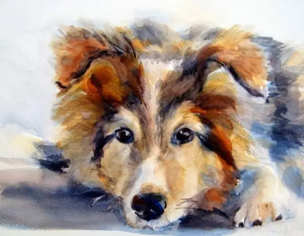 Watercolors that speak for themselves. Bonnie white