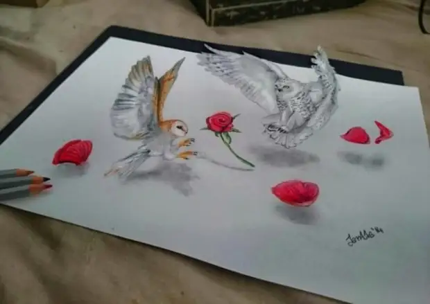 Des dessins 3D incroyables par un jeune artiste