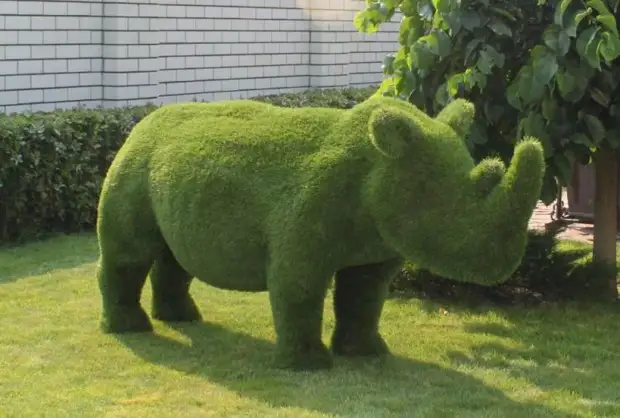 Topiary badak kecil terbuat dari rumput sintetis. Foto rumput buatan