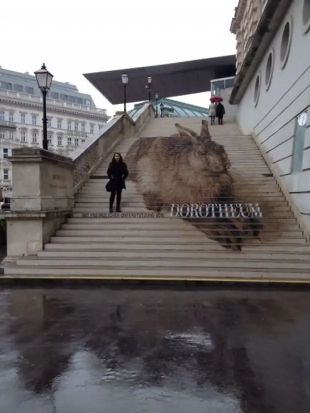 Situada davant l’entrada del museu Albertina de Viena, l’enorme llebre del camp és la reproducció d’una pintura de l’artista Albrecht Durer, les obres de la qual es mostren a l’interior de l’edifici.