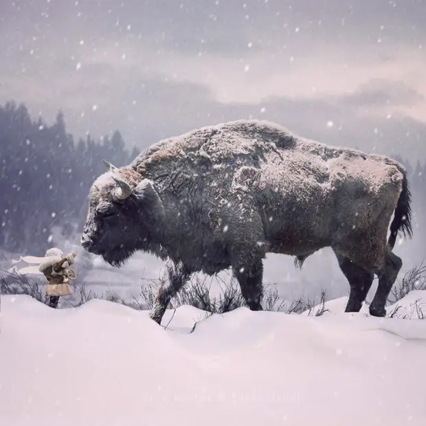 Čarobna zima. Foto umjetnik Caras Ionut.