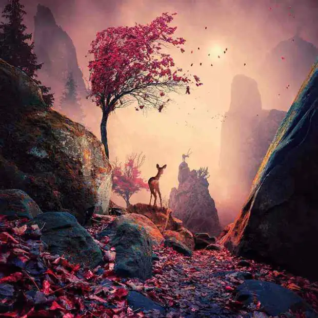 hutan peri. Seniman foto Caras Ionut.