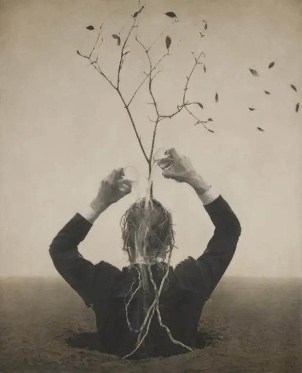 Unha fonte. Por Robert e Shana Parke Harrison.