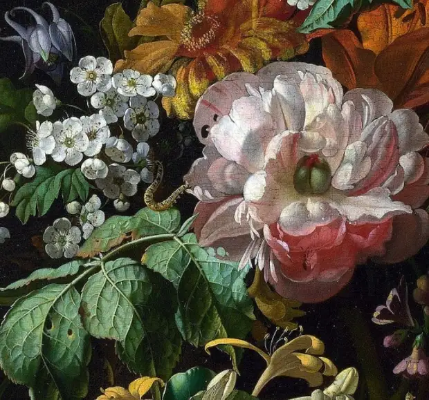 藝術家 Rachel Ruysch (1664 - 1750)。巴洛克靜物