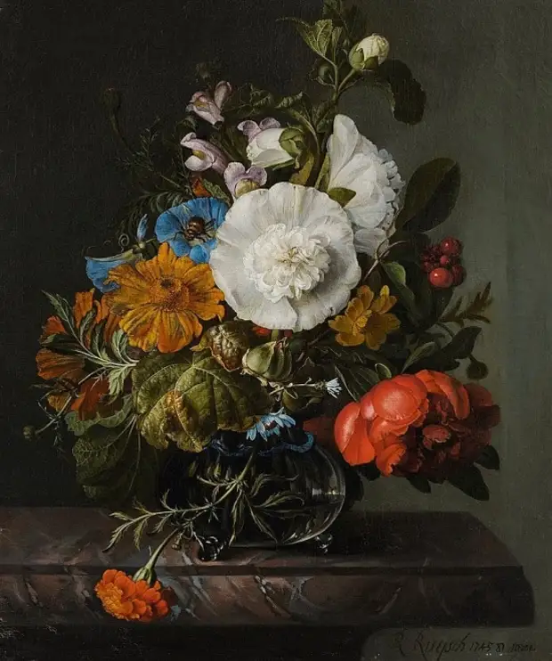 Mawaƙi Rachel Ruysch (1664 - 1750). Baroque har yanzu yana rayuwa